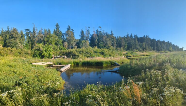 Birch Bay Parks | Visit Birch Bay