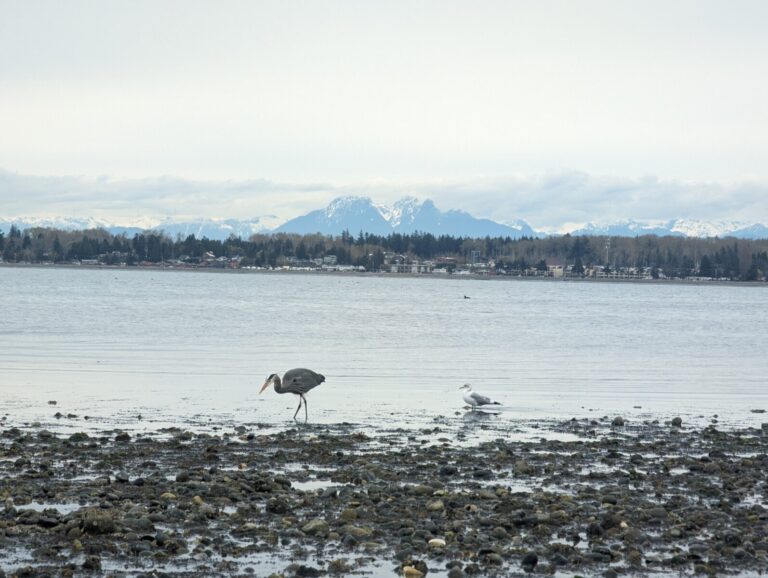 Birch Bay Parks | Visit Birch Bay