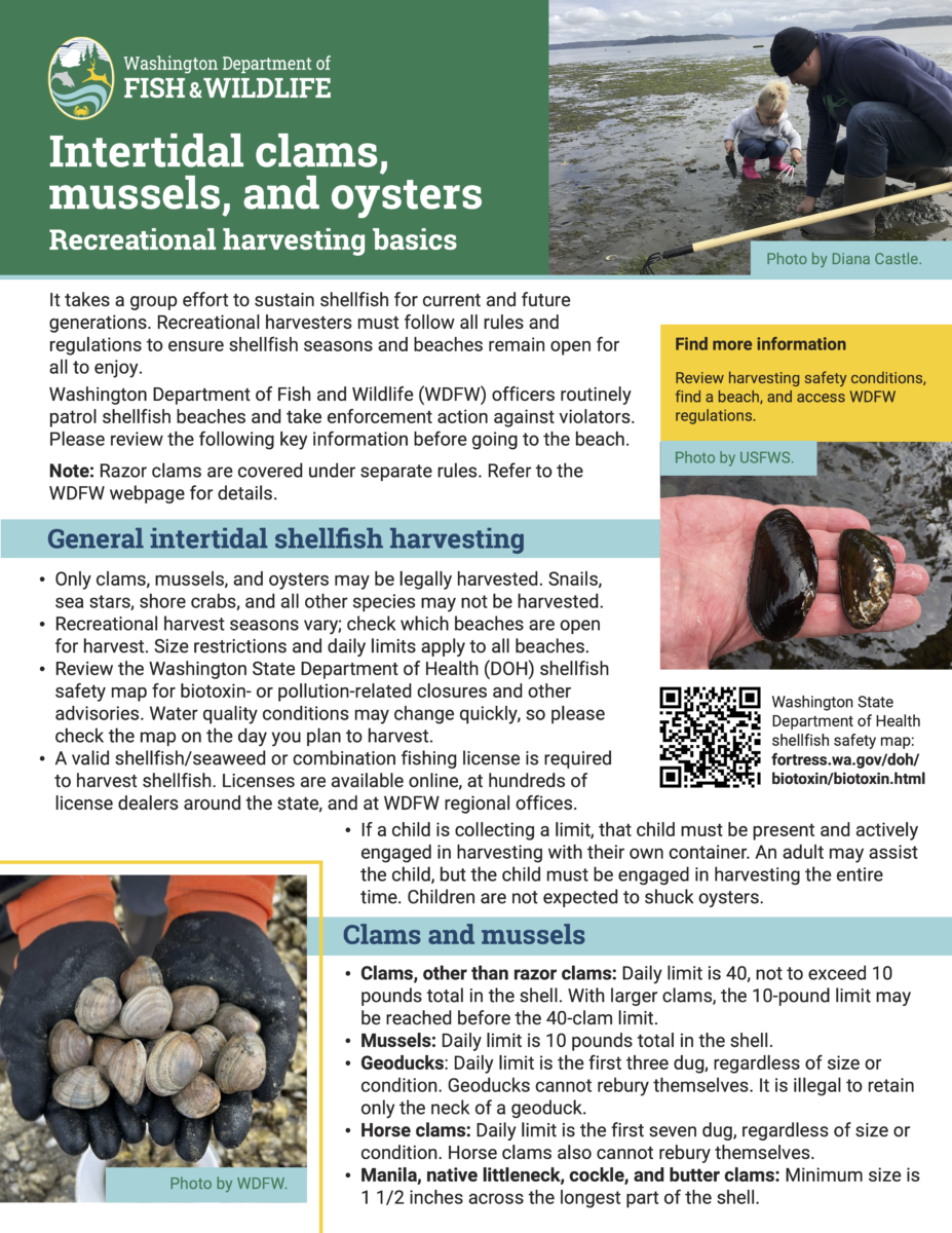 Birch Bay Clamming & Shellfishing | Visit Birch Bay