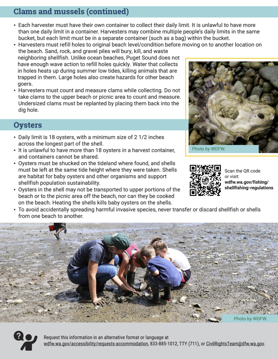 Birch Bay Clamming & Shellfishing | Visit Birch Bay